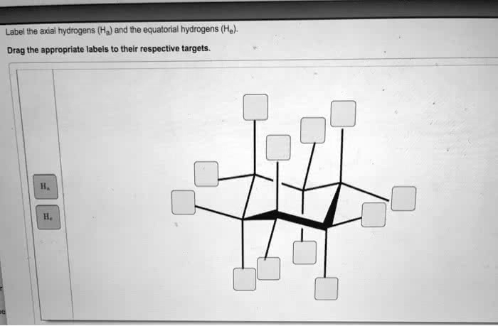 Label the axial hydrogens (Ha) and the equatorial hydrogens (He). Drag ...