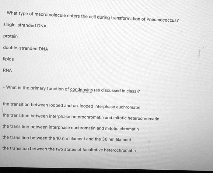 what type of macromolecule enters the cell during transformation of ...