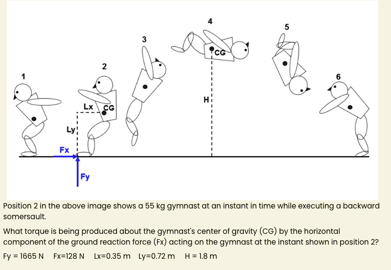 SOLVED: CG Position 2 in the above image shows a 55 kg gymnast at an ...
