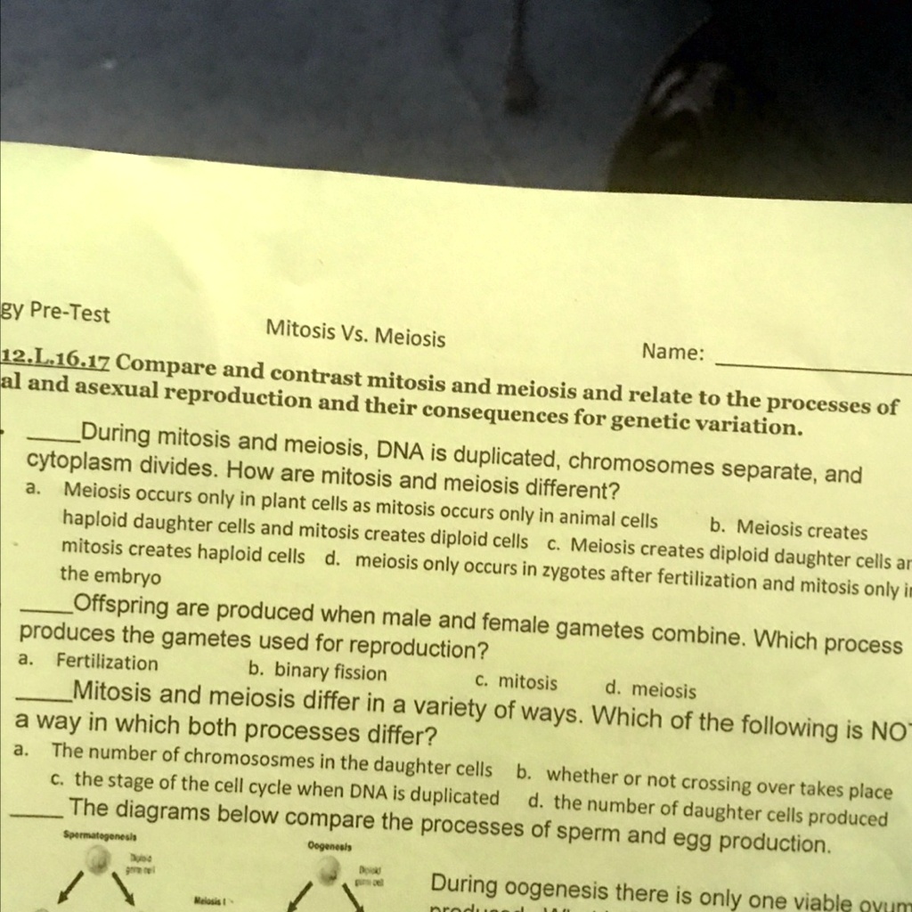 SOLVED: During mitosis and meiosis, DNA is duplicated, chromosomes ...