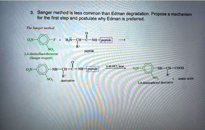 sanger method is less common than edman degradation propose a mechanism ...