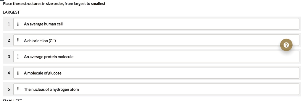 SOLVED: Place these structures in size order; from largest to smallest: LARGEST An average human ...