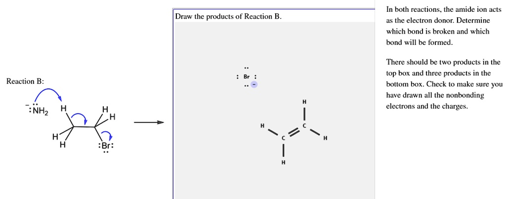 SOLVED: In both reactions the amide ion acts as the electron donor ...