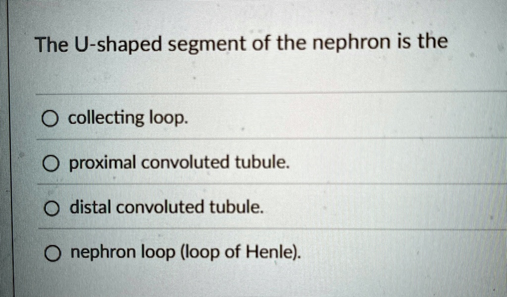 The U-shaped segment of the nephron is the collecting loop. proximal ...