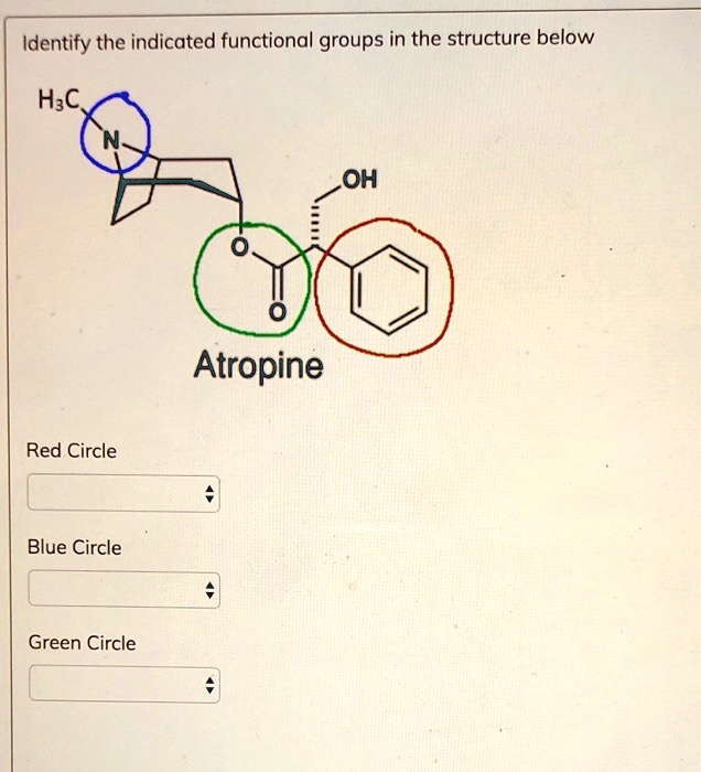 identify the indicated functional groups in the structure below hc oh atropine red circle blue ...