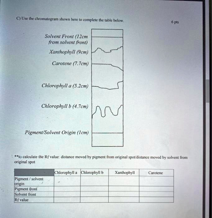 c use the chromatogram shown here to complete the table below solvent ...