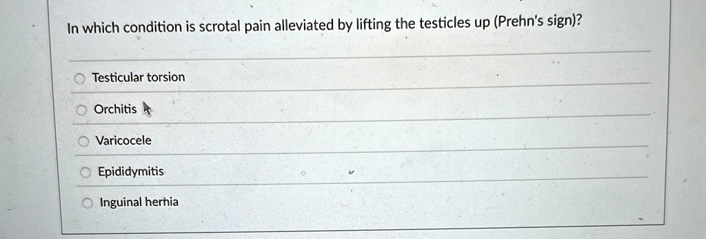 in which condition is scrotal pain alleviated by lifting the testicles ...