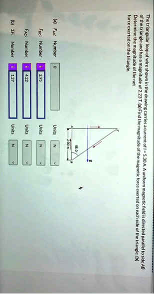 the triangular loop of wire shown in the drawing carries a current of i ...