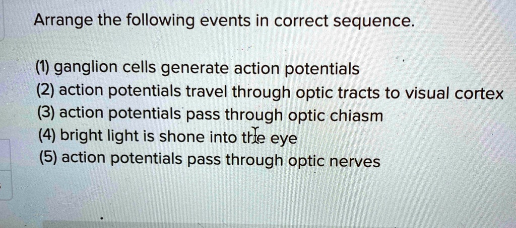 SOLVED: Retina Anatomy Select the correct word from the list to complete each sentence. Arrange ...
