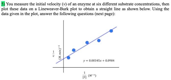 SOLVED: You measure the initial velocity of an enzyme at six different substrate concentrations ...