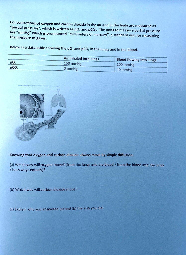 concentrations of oxygen and carbon dioxide in the air and in the body ...