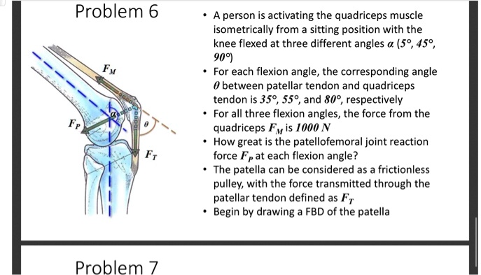 Problem 6 • A person is activating the quadriceps muscle isometrically ...