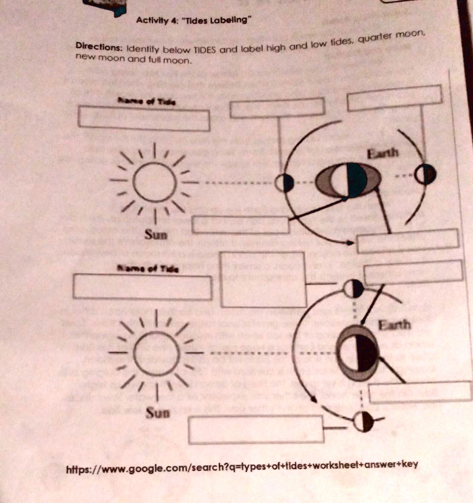 Activity 4: "Tides Labeling" Directions: Identify below TIDES and label ...
