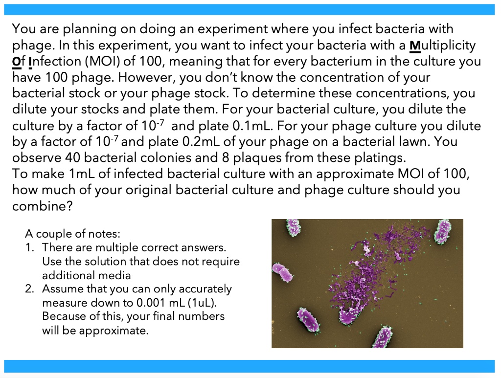 You are planning on doing an experiment where you infect bacteria with ...