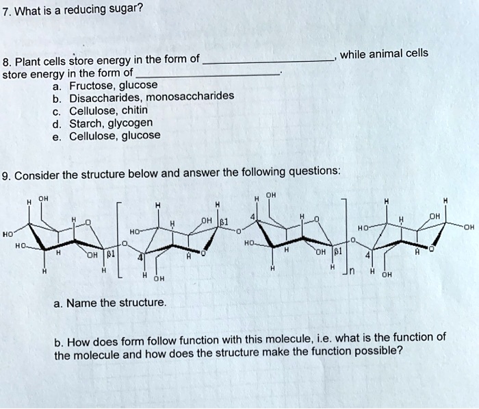 7 what is a reducing sugar 8 plant cells store energy in the form of ...
