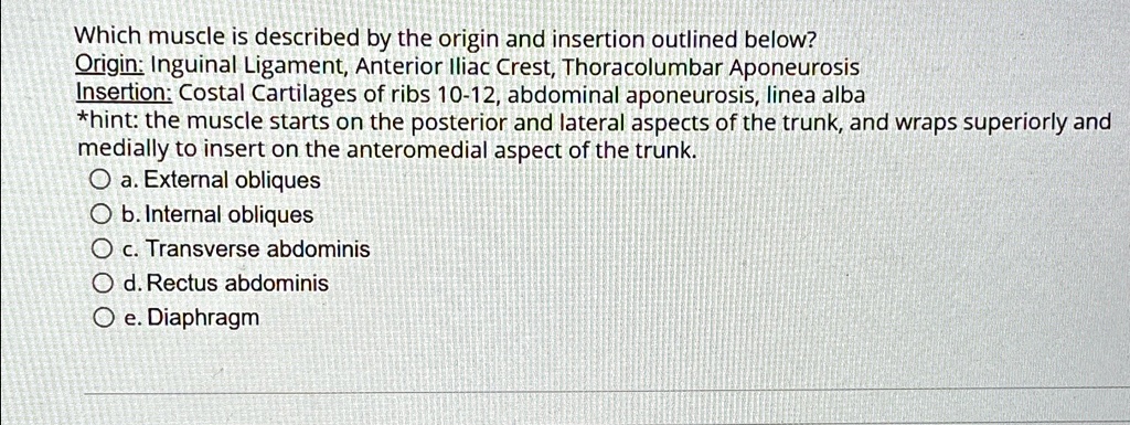 Which muscle is described by the origin and insertion outlined below ...