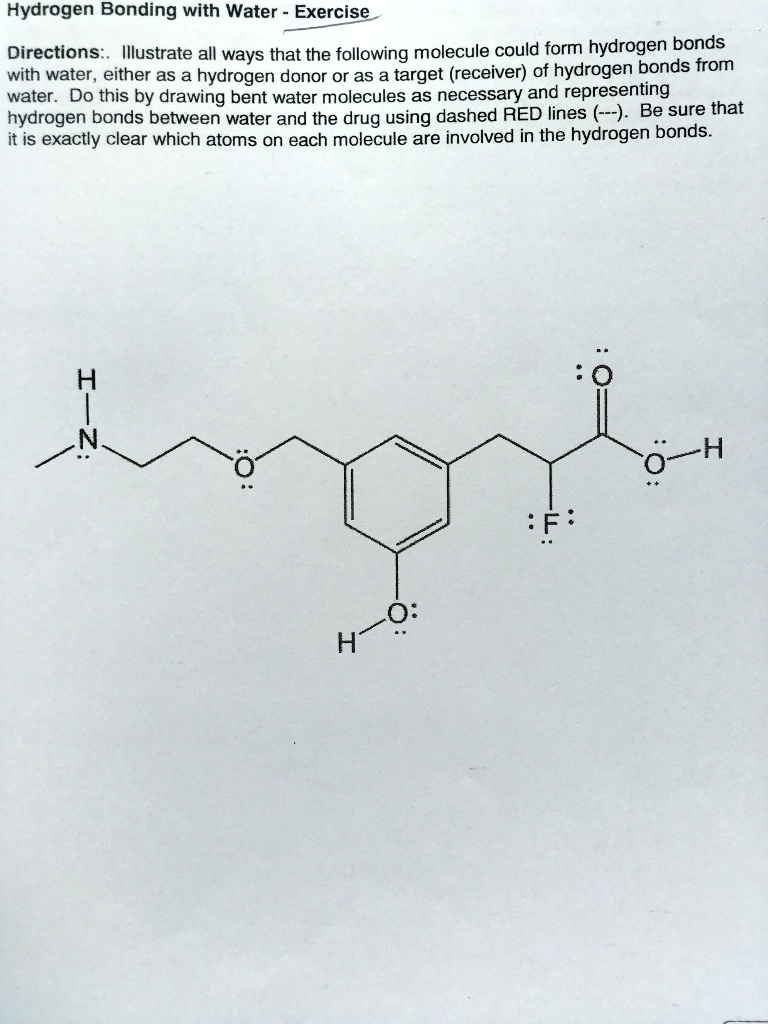 SOLVED: Hydrogen Bonding with Water Exercise Directions: . Illustrate ...