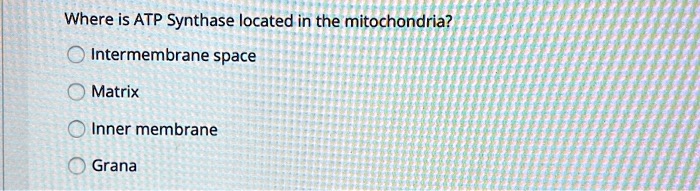 SOLVED: Where is ATP Synthase located in the mitochondria ...