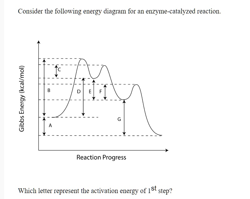 SOLVED: Consider the following energy diagram for an enzyme-catalyzed reaction Gibbs Energy ...