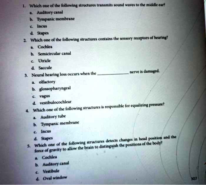 SOLVED: I. Which one of the following structures transmits sound waves ...