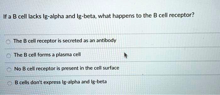 SOLVED: If a B cell lacks Ig-alpha and Ig-beta, what happens to the B ...