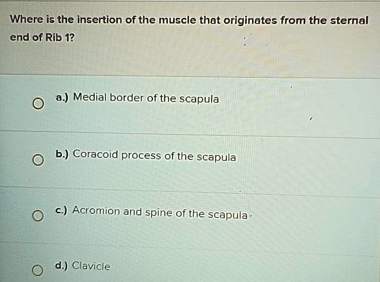 where is the insertion of the muscle that originates from the sternal ...