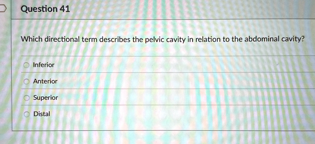 Question 41 Which directional term describes the pelvic cavity in ...
