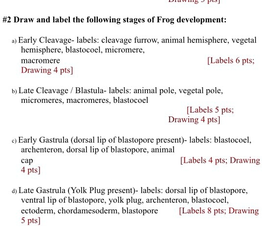 SOLVED: #2 Draw and label the following stages of Frog development ...