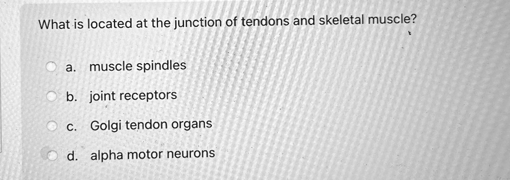 What is located at the junction of tendons and skeletal muscle? a ...