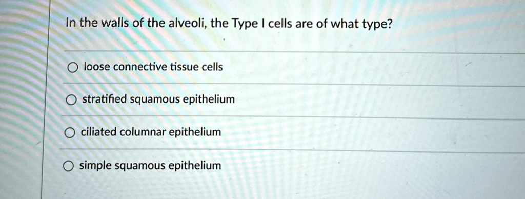 in the walls of the alveoli the type i cells are of what type loose ...