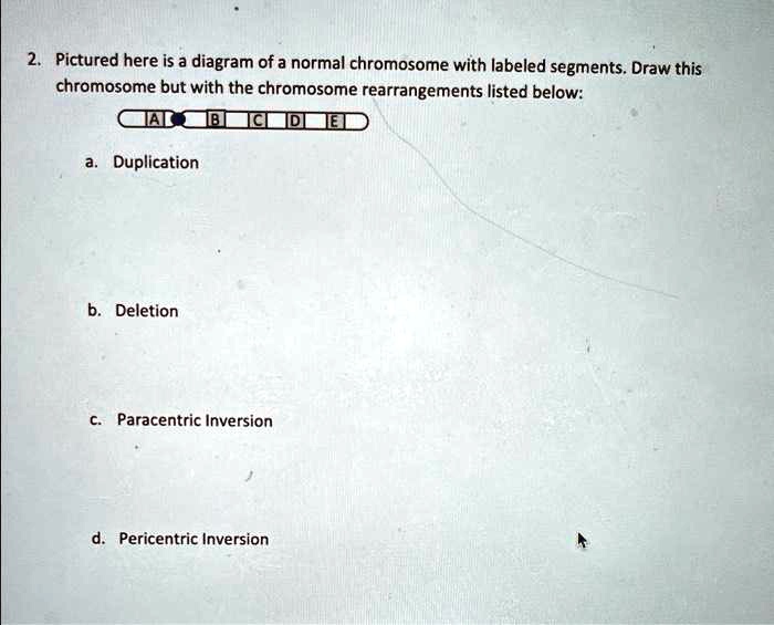 2. Pictured here is a diagram of a normal chromosome with labeled ...
