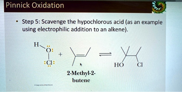 SOLVED: Pinnick Oxidation Step 5: Scavenge the hypochlorous acid (as an ...