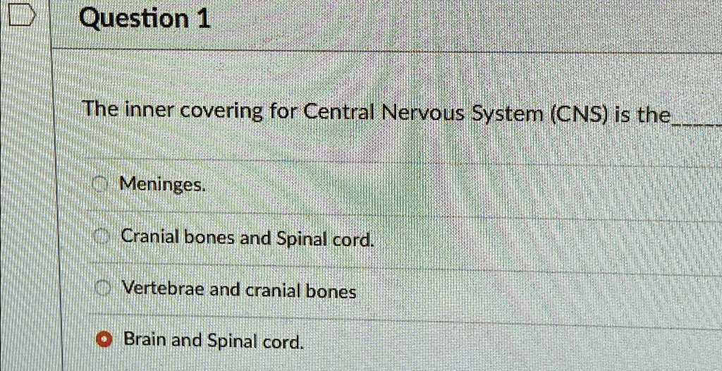 SOLVED: Question 1 The inner covering for Central Nervous System (CNS) is the Meninges. Cranial ...