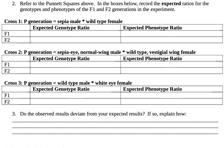 SOLVED: Refer to the Punnett Squares above. In the boxes below, record ...