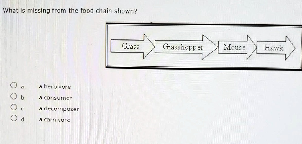 What is missing from the food chain shown? a a herbivore b a consumer c ...