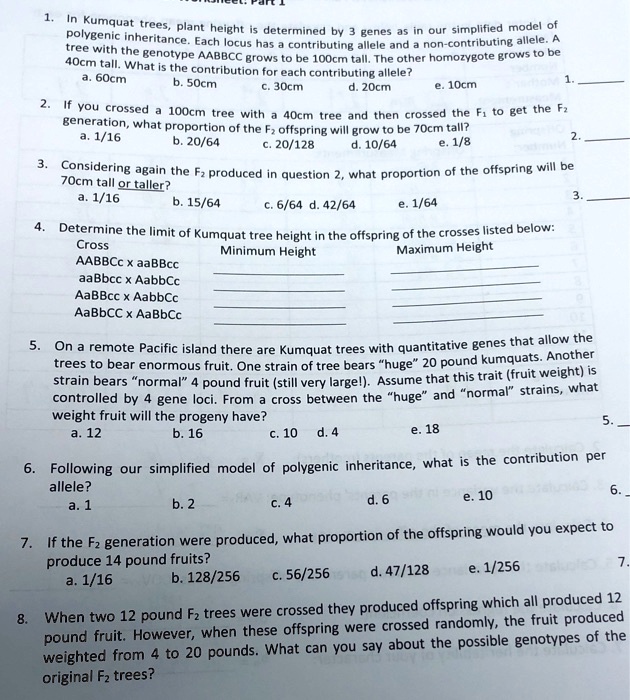 kumquat trees plant height determined by simplified model ot polygenic ...