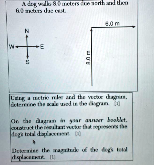 SOLVED: A dog walks 8.0 meters due north and then 6.0 meters due east. Using a metric ruler and ...