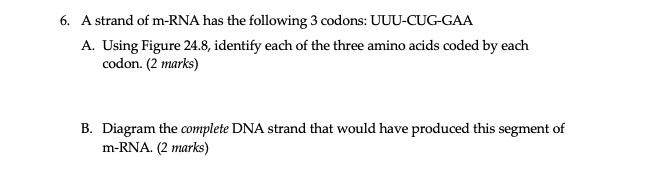 SOLVED: A strand of mRNA has the following codons: UUU-CUG-GAA. Using ...