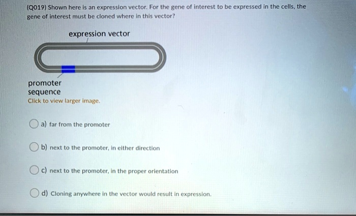 SOLVED: Shown here is an expression vector. For the gene of interest to ...