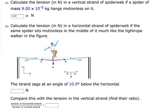 SOLVED: a. Calculate the tension in N in a vertical strand of spiderweb ...