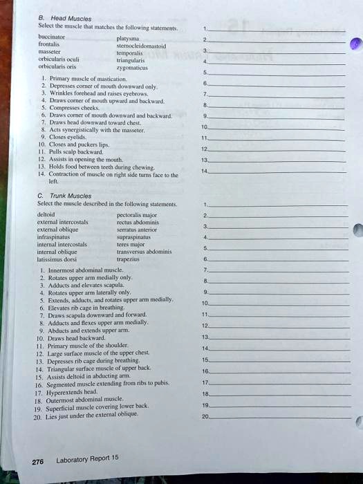 SOLVED: B. Head Muscles Select the muscle that matches the following ...