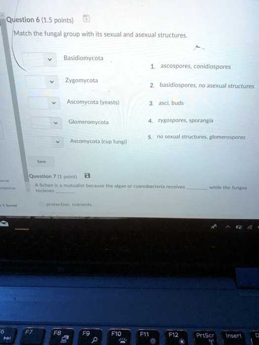 SOLVED: Question 6 (1.5 points) Match the fungal group with its sexual and asexual structures ...