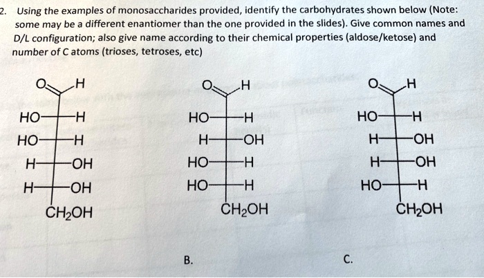 SOLVED: Using the examples of monosaccharides provided, identify the ...