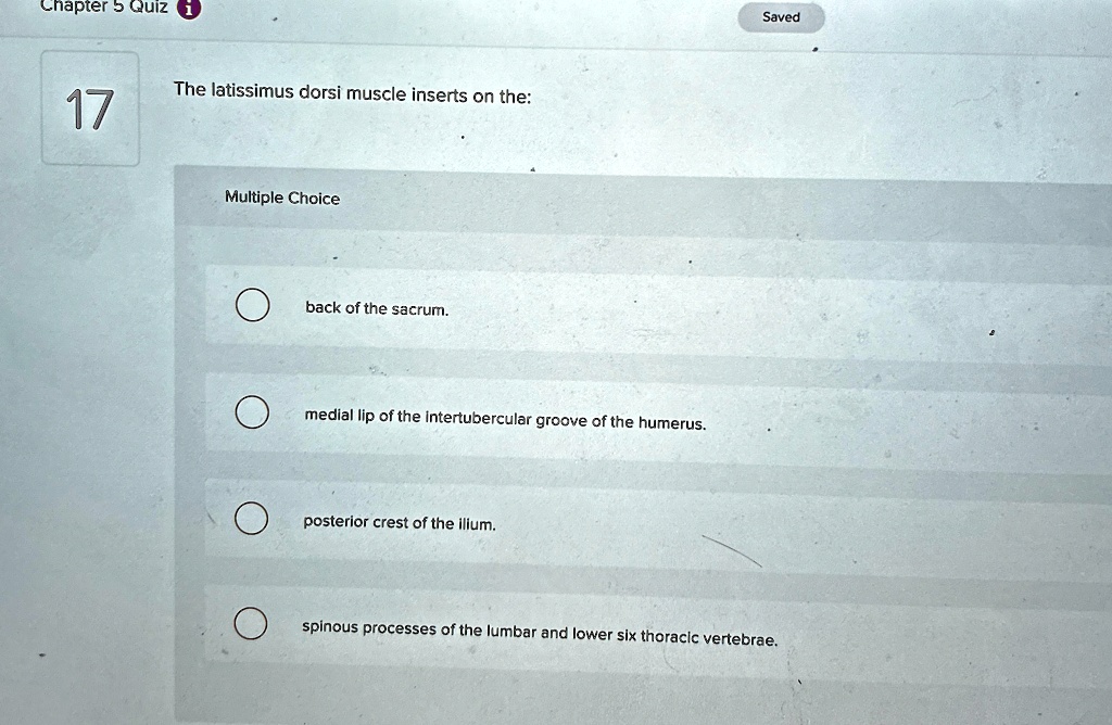 Chapter 5 Quiz The latissimus dorsi muscle inserts on the: 17 Multiple ...