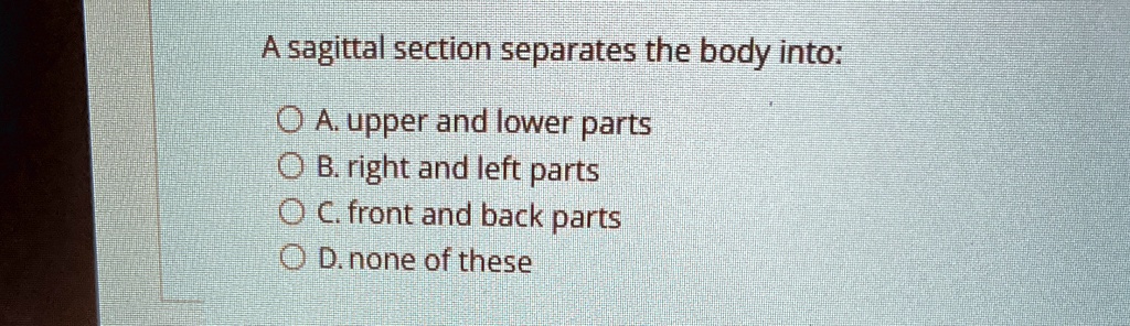 A sagittal section separates the body into: A. upper and lower parts B ...