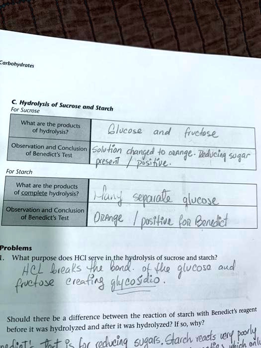 Sucrose Hydrolysis Test
