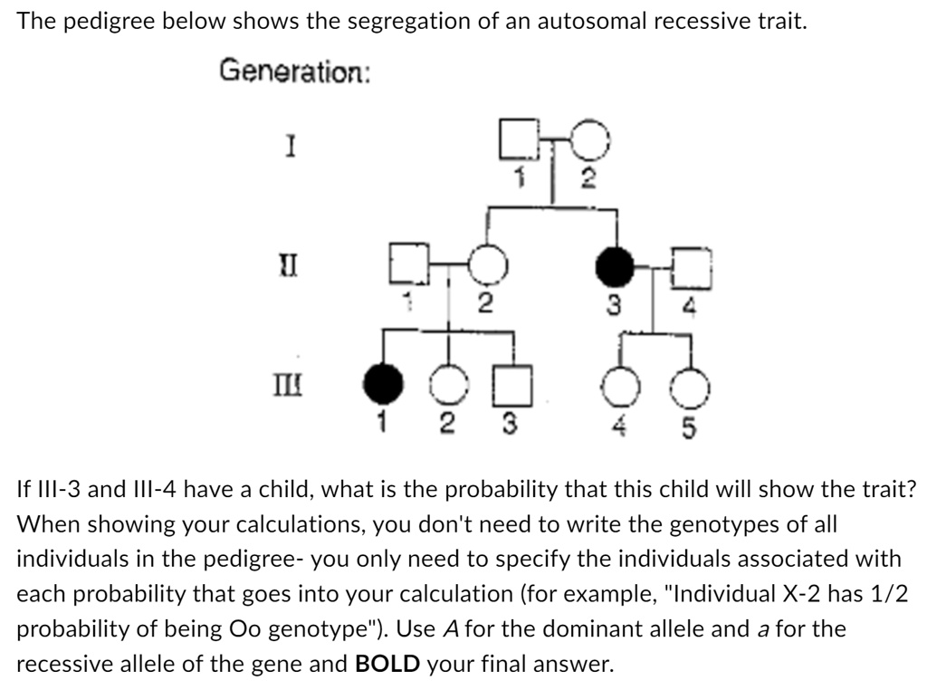 The pedigree below shows the segregation of an autosomal recessive ...