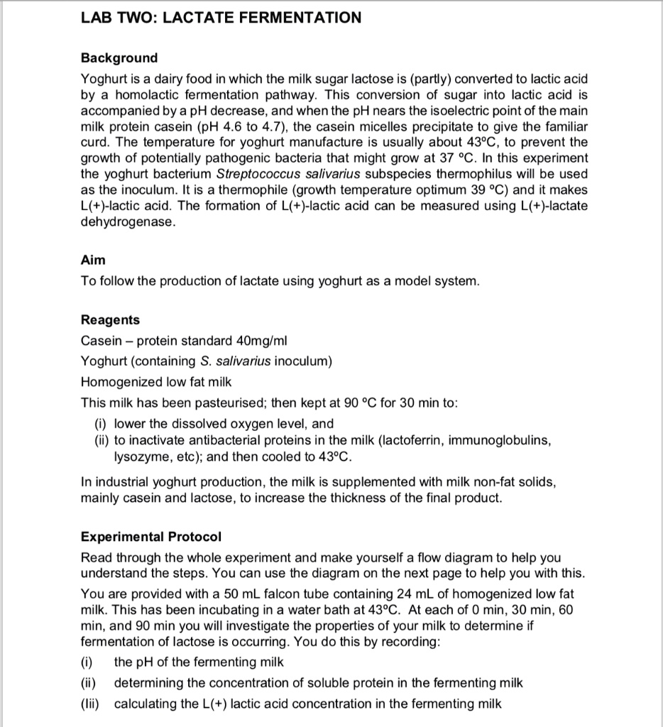 lab two lactate fermentation background yoghurt is a dairy food in ...