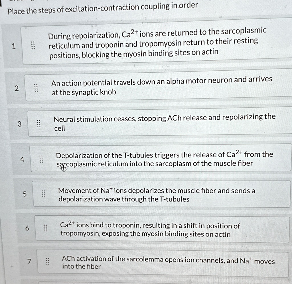 place the steps of excitation contraction coupling in order 1 during repolarization ca2 ions are ...