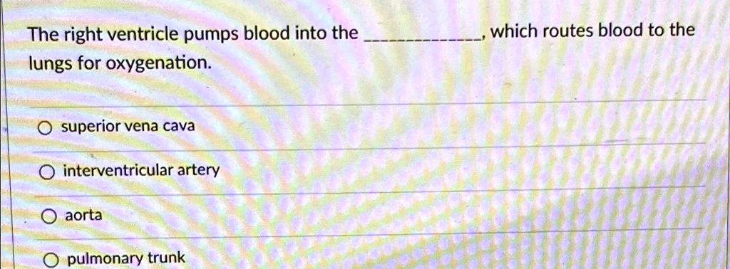 SOLVED: The right ventricle pumps blood into the lungs for oxygenation ...